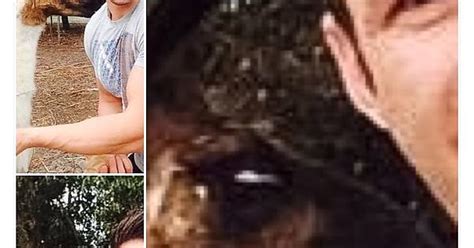 Screeching Intensifies Album On Imgur