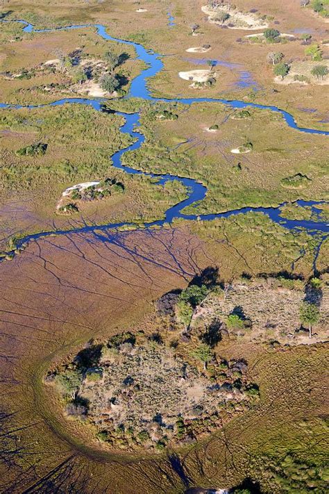 Aerial View Of The Okavango Delta Africa Photograph By Eric Baccega Pixels