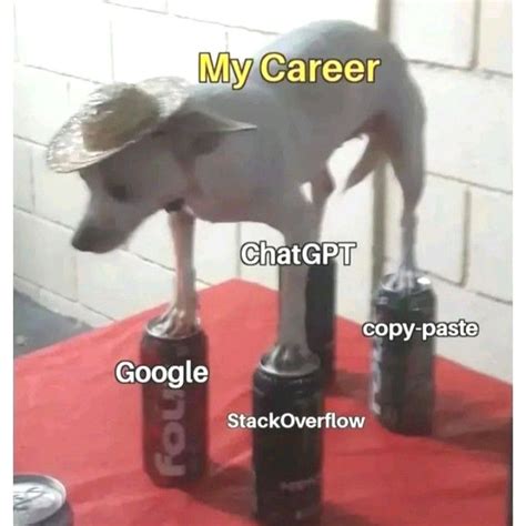 Monu Kushwaha On Linkedin Fun Career Softwareengineer Phpdeveloper Jobforfreshers Conference