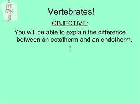 Classification And Scientific Names Ppt