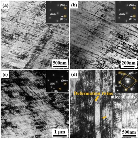 Microstructures Of The Designed Steel After Deformation At Different