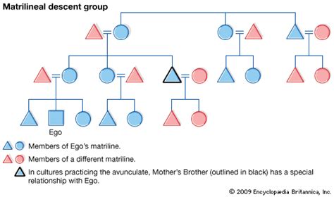 Kinship Definition Theories Sociology And Facts Britannica