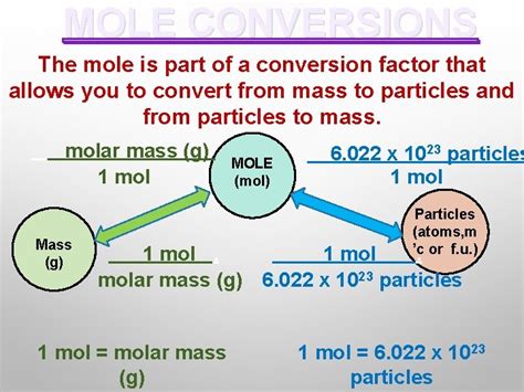 Mole Meme Mole Photos Avogadro Memes Intro To