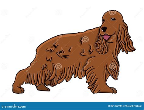 Englishcocker Stock Illustrations 1 Englishcocker Stock Illustrations Vectors And Clipart