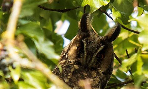 Busse Designengineering Busse Designengineering