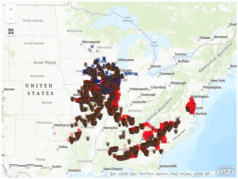 Why Do Cicadas Live Underground For So Long