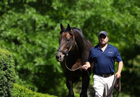 More Success For Uncle Mo At Obs On Wednesday