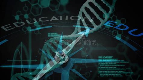 Dna Strand And Education Text Animation Over Scientific Data And