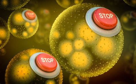 Scientists Develop Kill Switches” For Engineered Bacteria