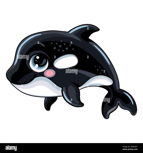 Cute Cartoon Killer Whale
