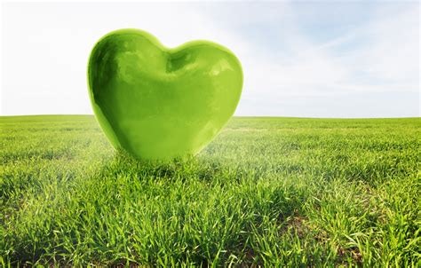 Green Love Wallpapers Wallpaper Cave