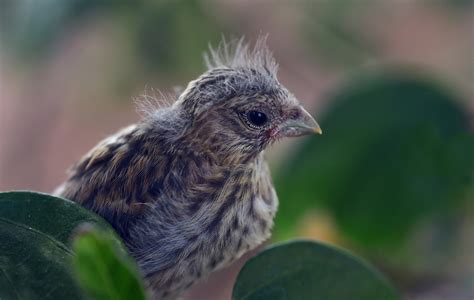 300 Free Vulnerable And Elderly Images Pixabay