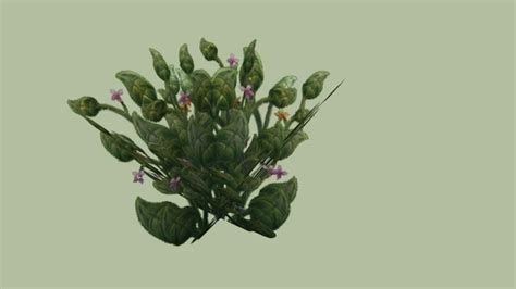 Plant 3d Warehouse Plant 3d Warehouse