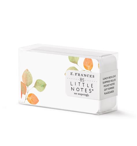 E Frances Famous Little Notes® 85 Sweet Little Cards To Be Used