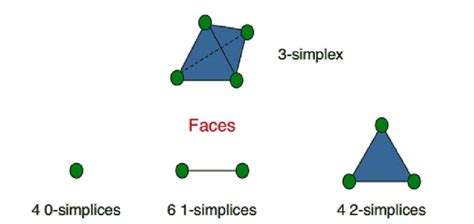 Different Faces Of A 3 Simplex Tetrahedron Download Scientific Diagram