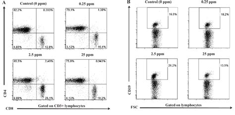 Representative Dot Plot Cytograms Showing The Percentage Of Cd4 Cd8 Dp