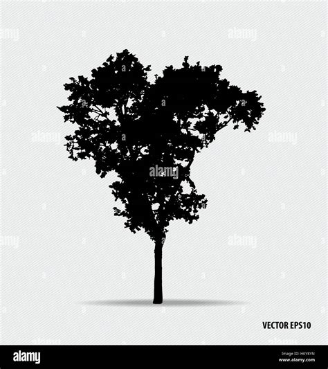 Tree Silhouette Vector Illustration Stock Vector Image And Art Alamy