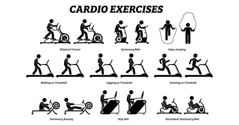 best cardio exercises for weight loss