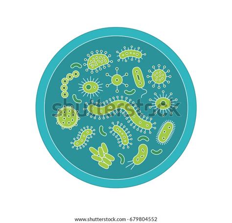 Circle Germs Bacteria Stock Vector Royalty Free 679804552