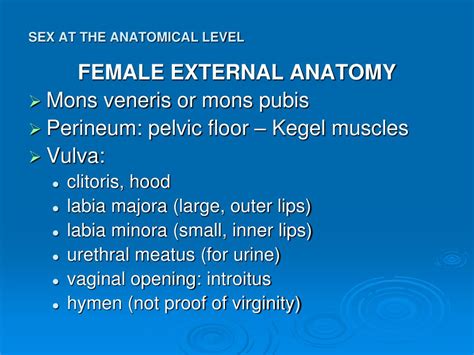 Ppt Sex At The Anatomical Level Powerpoint Presentation Free