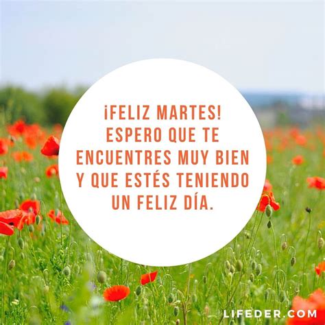 Feliz Martes 100 Frases Para Dedicar Y Compartir Imágenes Lifeder