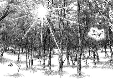 Manga Backgrounds Forest