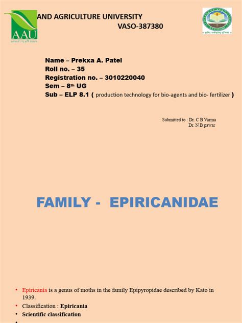 35 Prexa 1 Pdf Pupa Abdomen