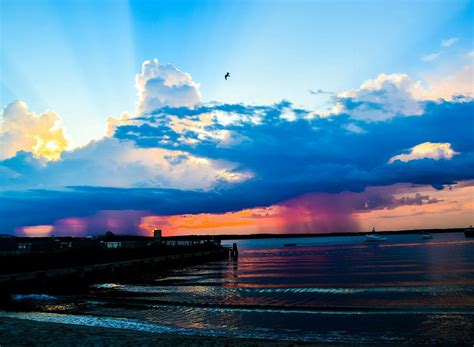 Scope Bug Morph Bugmodel Bugphotography Megapixcels