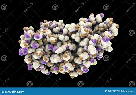 Molecular Model Of Interferon Gamma Stock Illustration Illustration Of Chemistry Model 84873497