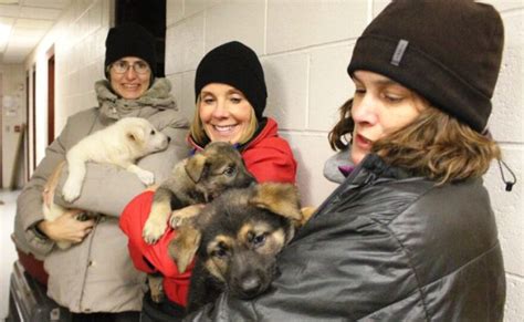 Idaho Humane Society Flies Dogs Into Boise For Adoption Boise State