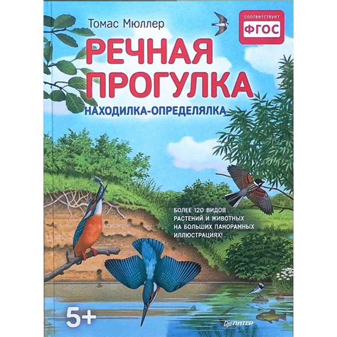 Несколько лет назад, когда сын был совсем маленьким, летом мы снимали ...