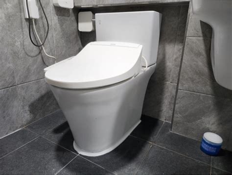 일산 화장실 양변기 냄새 아파트 변기 악취 날파리 제거 하는 업체 네이버 블로그