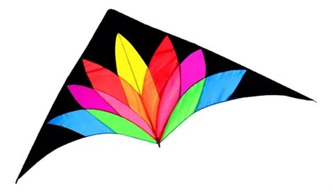 Cometa Delta Grande Fácil De Volar Cometa Deportiva De Una Meses Sin