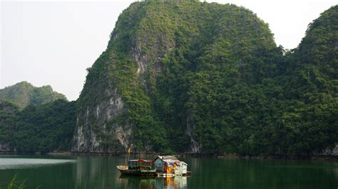 How Many Islands Are There In Halong Bay [updated 2026]