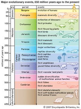 Earth History Timeline Major Events