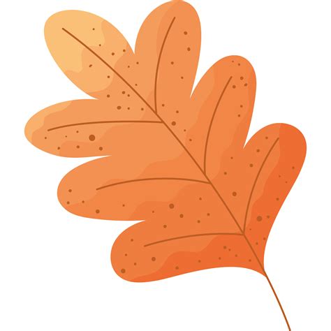 Orange Leaf Plant Foliage 24096702 Png