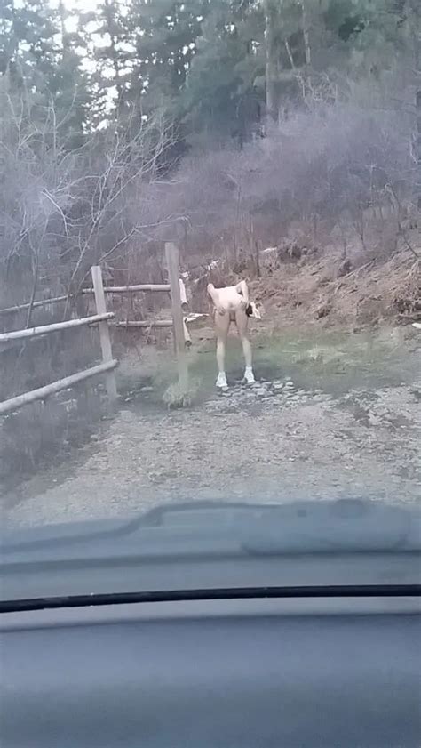 Pictures At A Roadside Stop 4 Pics Xhamster