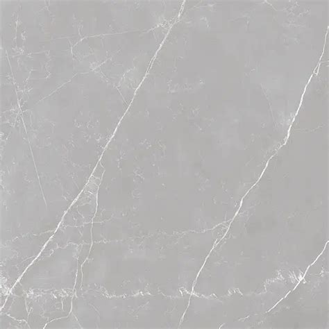 Ash Gray 24x24 Matte Color Body Porcelain Large Tile 155 Sq Ftcase