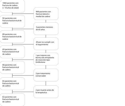 Fractura Basicervical De Cadera En El Adulto Mayor ArtroplastÍa Vs