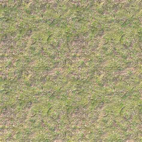 Moss Forest Ground Background Texture Premium Photo