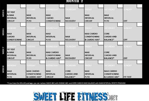 Insanity Calendar Get Insanity Schedule Free With A Bonus