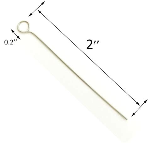Reusable Inoculating Loops At Angelica Mullins Blog