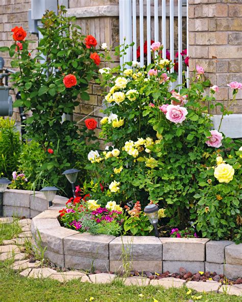 21 Inspiring Rose Garden Ideas For Front And Backyard Spaces