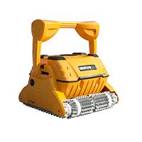 Dolphin Wave Lincoln Aquatics Dolphin Wave Lincoln Aquatics