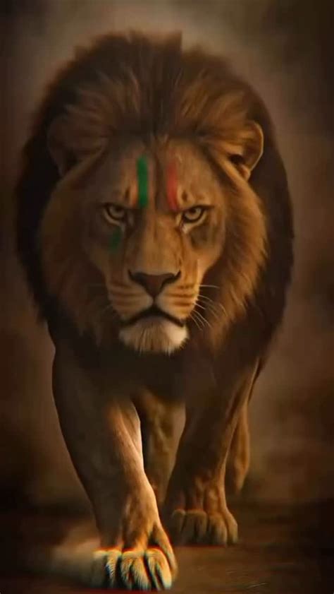 ‎هوراد مافی کسب و کار‎ ‎مادر کسب‌و‌کار شاید این اصطلاح درست تری باشه براش مادر اول غذای