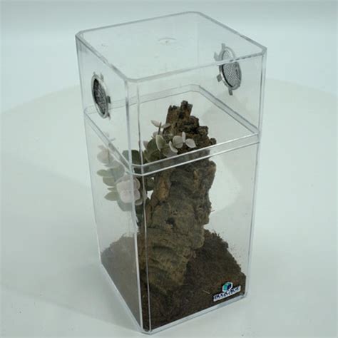 Acrylic Arboreal Tarantula Slingjumping Spider Cage Set Up Bug Cage