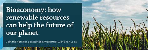 Biorenewables Development Centre Bioeconomy How Renewable Resources