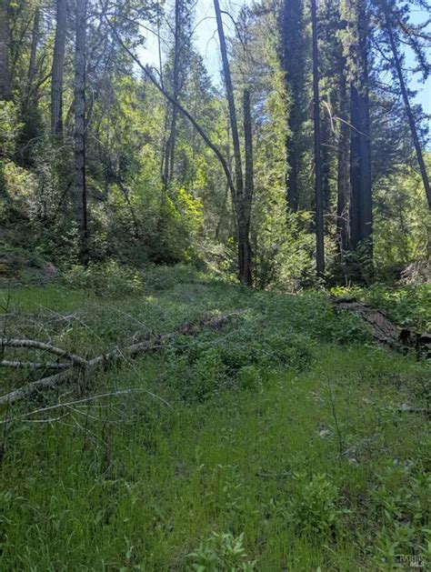 Skaggs Springs Rd Geyserville Ca 95441 [updated 5 23]