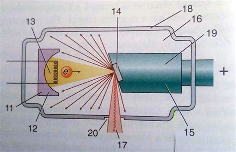 Diagram Of Diagram Of X Ray Tube Quizlet