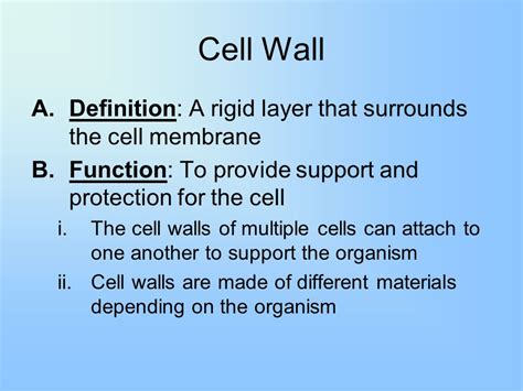 Cell Wall Definition